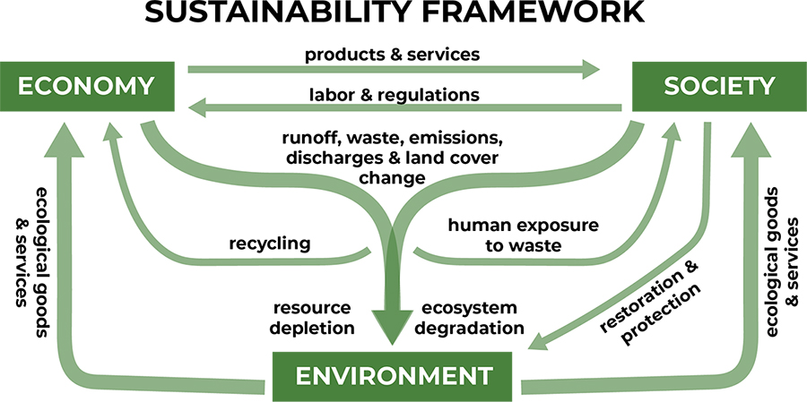 More than a buzzword: What does sustainability really mean?